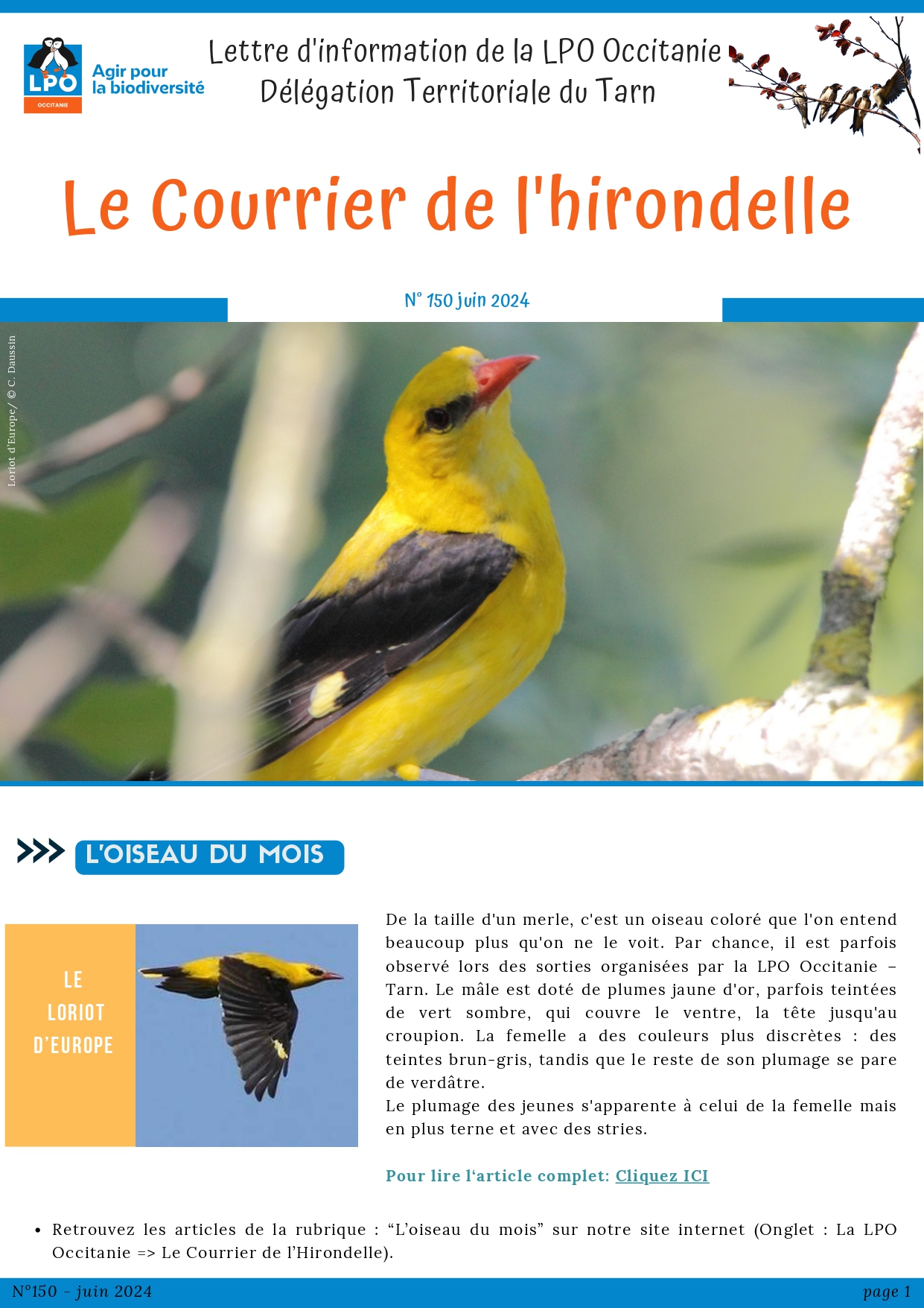 Courrier de l’Hirondelle 150 – juin 2024 – LPO Occitanie Délégation ...