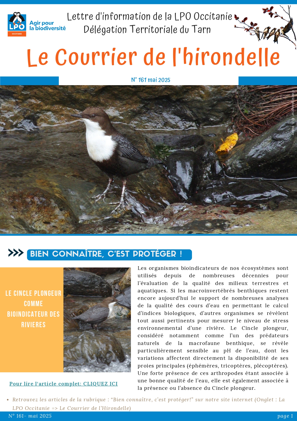 Courrier de l’Hirondelle 161 – mai 2025 – LPO Occitanie Délégation ...